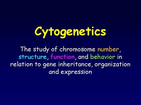 Mohammed Elkhateeb Cytogenetics Cytogenetics Mgl3 Th 2013 Th