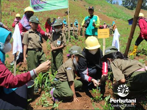 Perhutani Perhutani Bersama IIK Perhutani Tanam Pohon Bersama Siswa TK