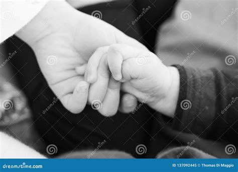 Sister And Brother Hands Stock Image Image Of Brother 137092445