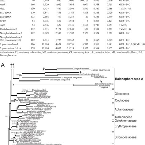 Characteristics Of Different Datasets Download Table