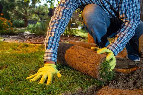 Weeds Or Seeds How To Identify Seed Heads In Your Turf Lawn
