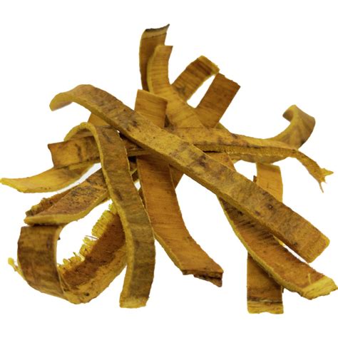 Huang Bo Phellodendri Chinensis Cortex