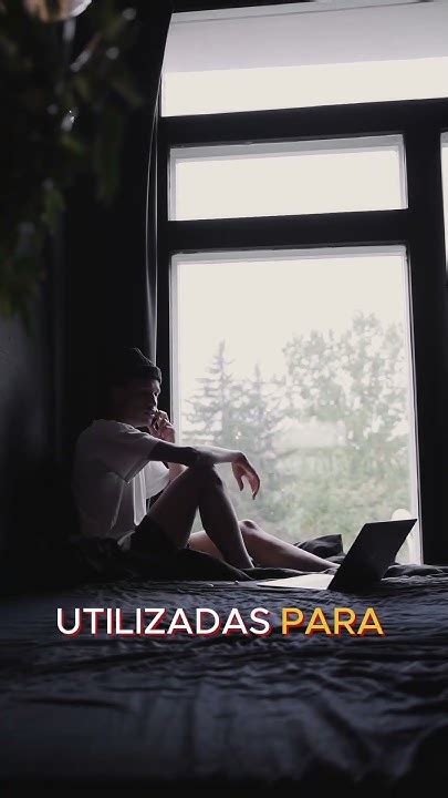 Qué Son Las Variables Desarrolloweb Programacion Programador Javascript Variables Youtube