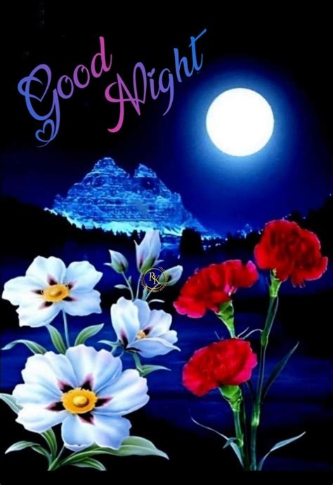 Pin By Rajkiran On Good Night Good Night Flowers Good Night Image