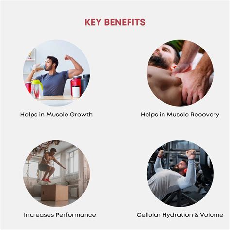 Lean Mass Gain Stack At ₹ 6699piece Mass Gainer In New Delhi Id