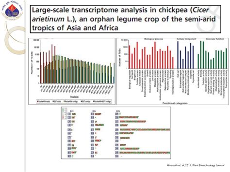 Omics In Plant Breeding