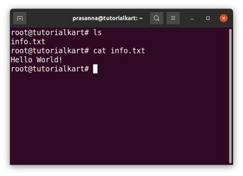 Linux Display Contents Of A File