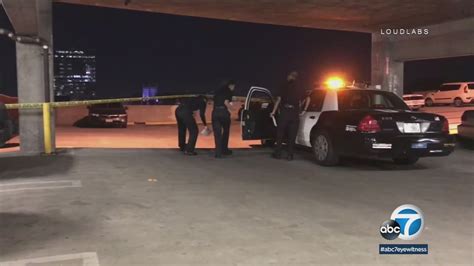 Transient Arrested In Macarthur Park Carjacking That Resulted In Victim