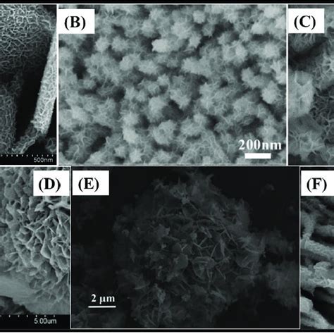 Schematic Of Catalyst Coated‐substrate Ccs And Catalyst Coated
