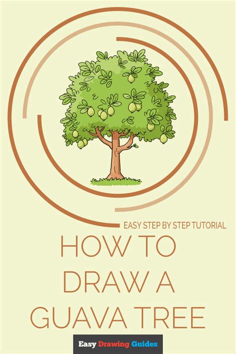 how to draw a guava tree drawing tutorial easy willow tree easy