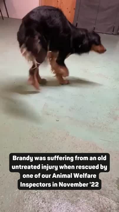 Video Kerry Anne Pollock On Linkedin 💕💕💕💕💕 Well Done What A Lucky