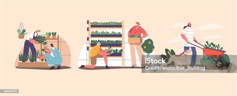 정원사 캐릭터 무성한 채소를 돌보는 온실에서 사람들은 통제된 환경에서 다양한 식물을 키웁니다 건강한 생활방식에 대한 스톡 벡터 아트 및 기타 이미지 Istock