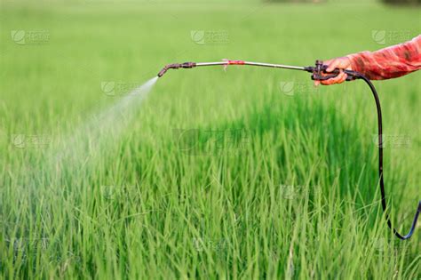 农用喷雾器除草剂杀虫剂水平画幅风险户外田地植物商业金融和工业农业