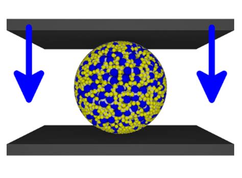 Stochastic Particle Models Institute Of Stochastics Universität Ulm