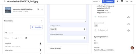 Using Conditional Fields In Sitecore Content Hub Girish Jain S Blog