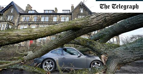 Thousands Of Homes Without Power As Storm Otto Leaves Trail Of Destruction