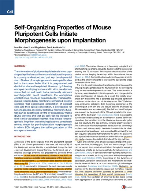 self organizing properties of mouse pluripotent cells initiate