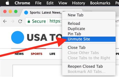 How To Mute An Entire Web Site In Chrome