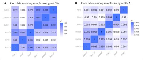 The Heatmap Of Correlation Coefficients Among Samples For A MRNA