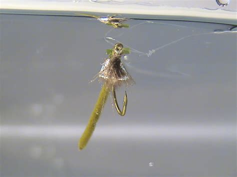 Nymph Quotes Quotesgram