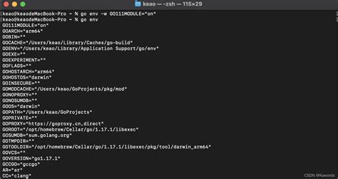 Mac环境下配置vscode的go开发环境、编写menu项目mac Vscode Golang Csdn博客