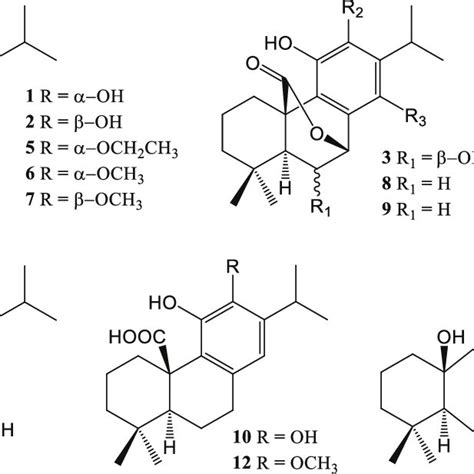 Structures Of The Diterpenoid Phenols Isolated From Dcme Download Scientific Diagram