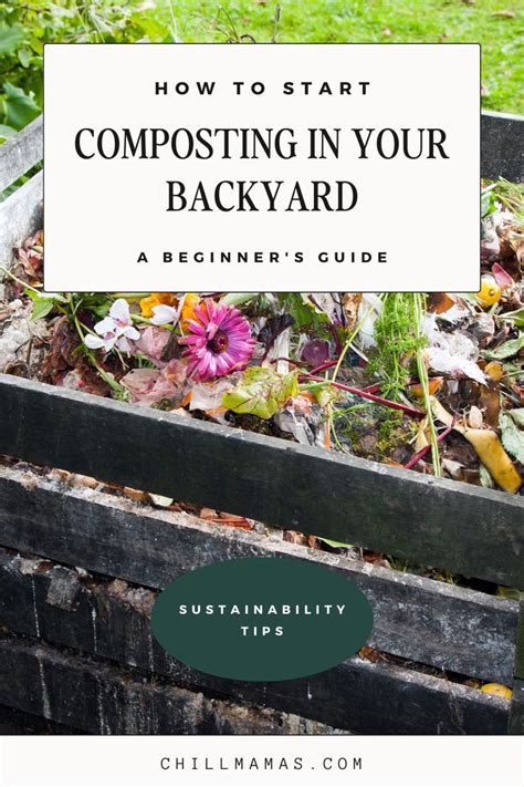 How To Start Composting In Your Backyard A Beginners Guide In 2022