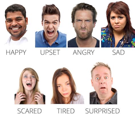 five vital functions of our emotions alliance work partners