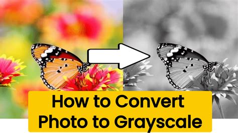 How To Convert Photo To Grayscale 4 Proven Ways In 2024