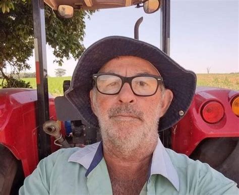 Homem Morre Picado Por Mais De 100 Abelhas Em Votuporanga Saiba Tudo