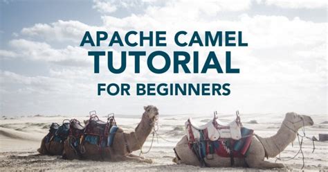 开源集成框架apache Camel 标点符