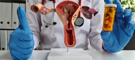 해부학적 여성 생식기 및 피임약을 가진 의사 프리미엄 사진