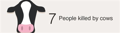 Lies Damned Lies And Favourite Stats Bbc News