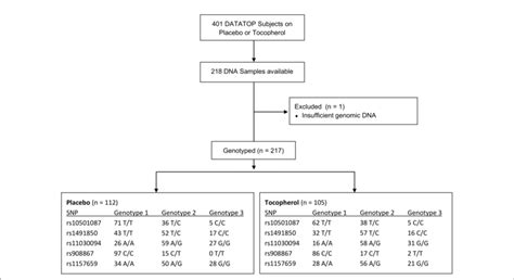 figure flow diagram of sample acquisition and genotype group numbers