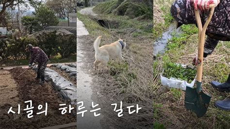산책으로 시작해서 텃밭으로 끝나는 시골의 하루 [시골일상vlog] Youtube