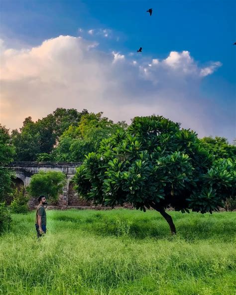 मेरे ख्यालों की दुनियां देखने आना कभी सब सही होगा लगेगी न कोई कमी