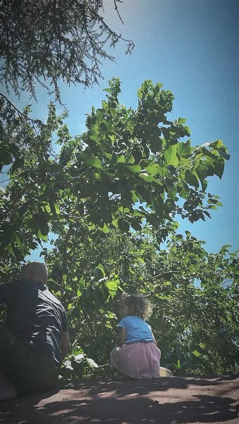 Instagram Video By Hasan Berk Çebi • Jul 5 2022 At 612 Am