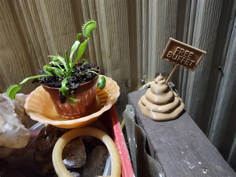 A Little Something For My Roomies New Plant R3dprinting
