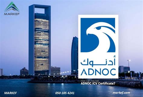 Cynthia Grace On Linkedin Icv Adnoc Dubai Abudhabi Audit