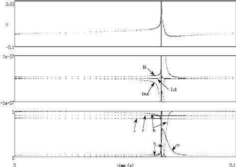 Display Of Membrane Potential Top Ionic Currents Middle And