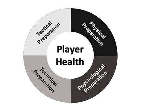 The Four Coactive Model Of Player Preparation