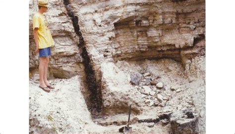 Polystrate Fossils Evidence For A Young Earth