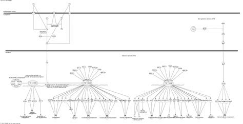 Trrxr Activation Geneglobe