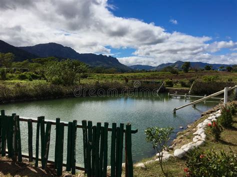 Sabeto Mud Pool Hot Spring With Visitor Crowd Nearby Nadi Fiji