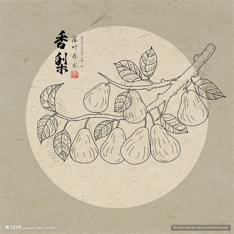 香梨线描设计图psd分层素材psd分层素材设计图库昵图网