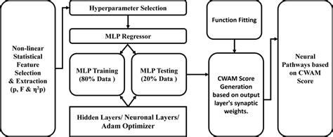 non linear statistical features p f and η²p are processed with mlp