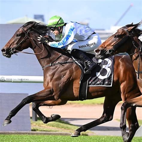 Giddy Up Monday July 7 Watch Giddy Up With Gareth Hall Live