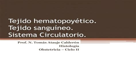 Tejido Hematopoyético Y Sanguíneo Sistema Circulatorio Pdf Document
