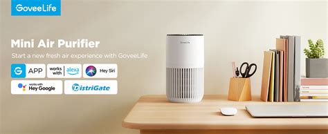 Goveelife Mini Air Purifier For Bedroom Hepa Smart Filter