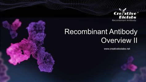 Bacterial Display Technology Creative Biolabs